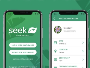 Seek iNaturalist iPhone - Identifier Plantes et Animaux avec l'APN ...
