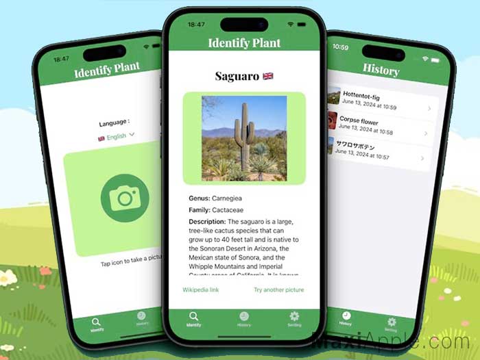 PlantIdentify iPhone - Identifiez les Plantes avec l'IA (gratuit ...